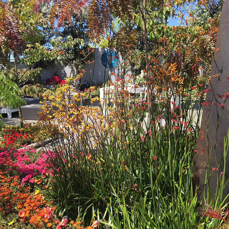 TREELiNE DESiGNZ - Landscape & Garden Design